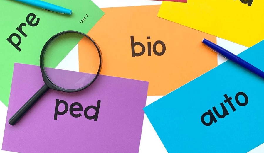 Pengertian, Jenis, dan Contoh Root – ENGLISH++